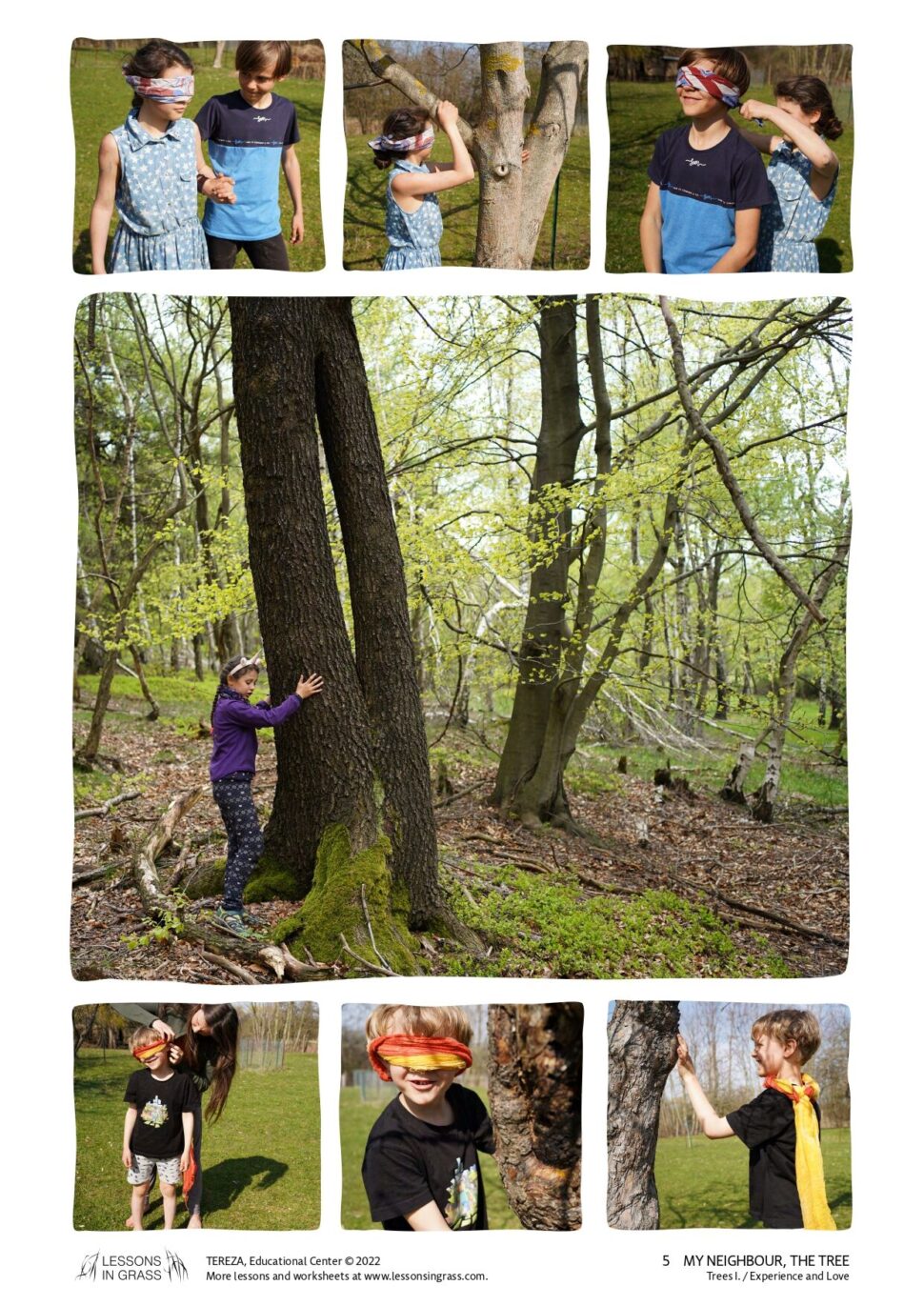 ebook Trees outdoor learning