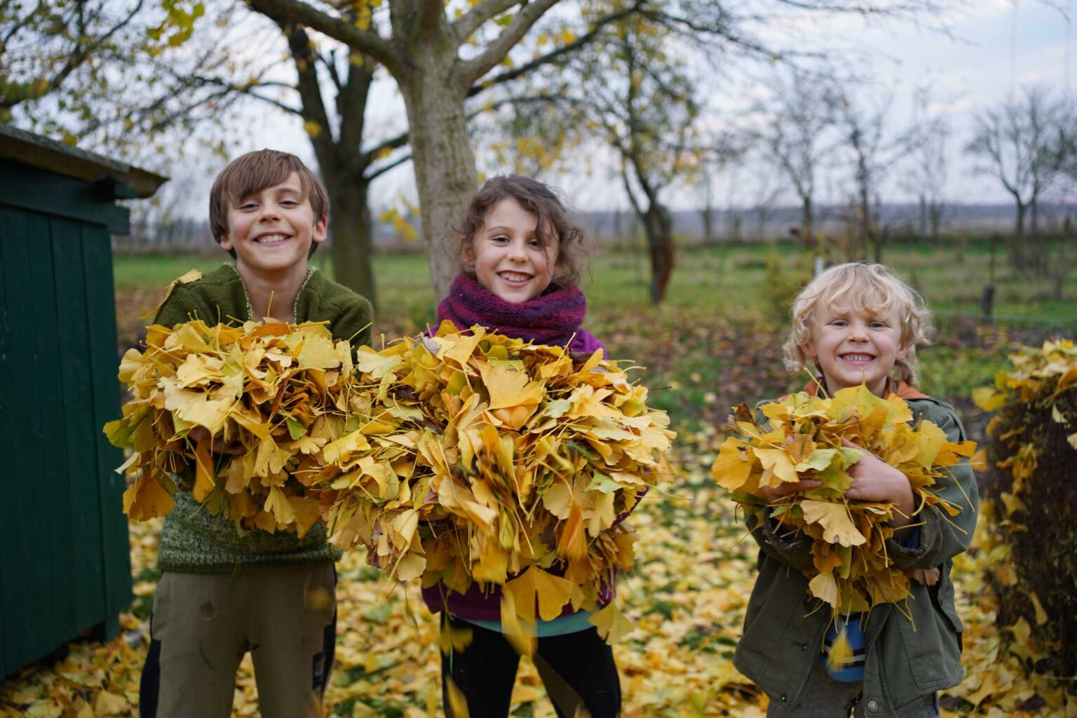 Outdoor learning ideas, activities and lessons plans