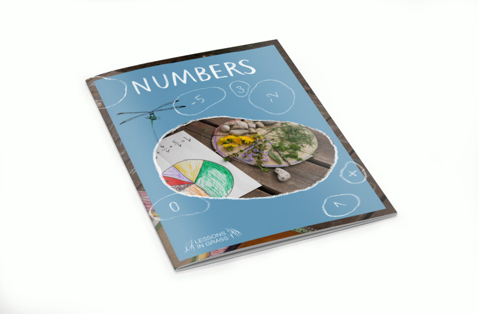 video course math | lessonsingrass.com